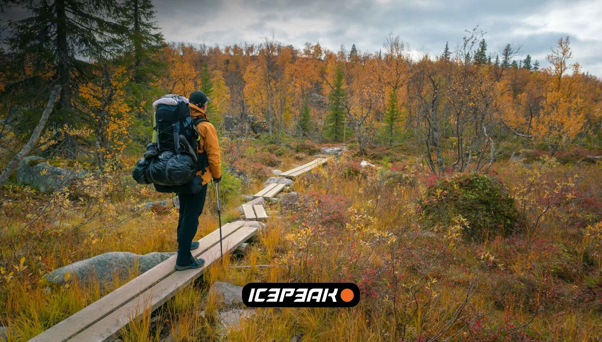 Oblačila in obutev Icepeak v trgovinah INTERSPORT